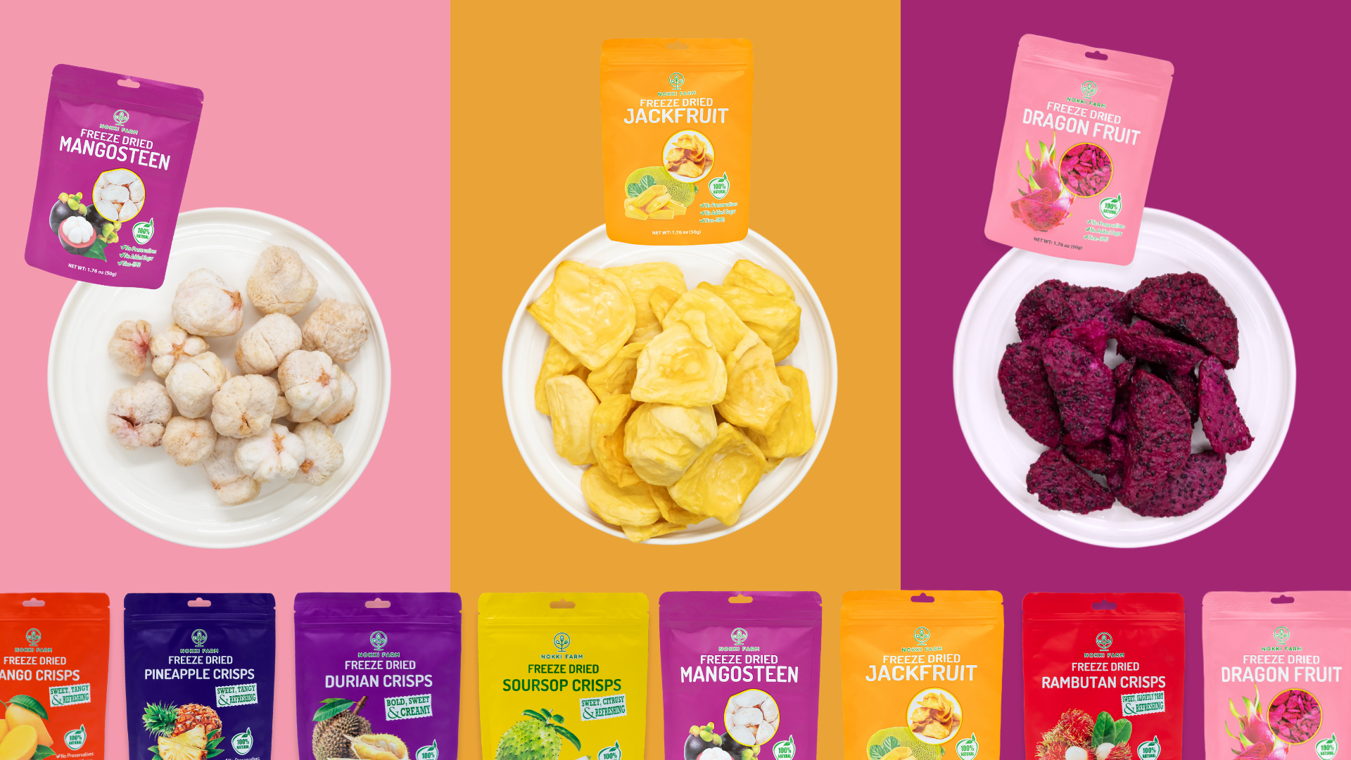 Freeze Dried Fruit Snacks From Vietnamese Farms | Nokki Farm