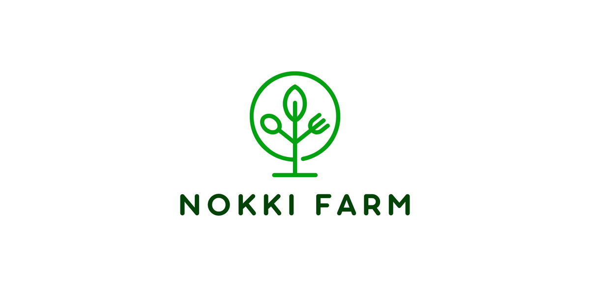 Best Healthy and Yummy Asian Snacks – Nokki Farm